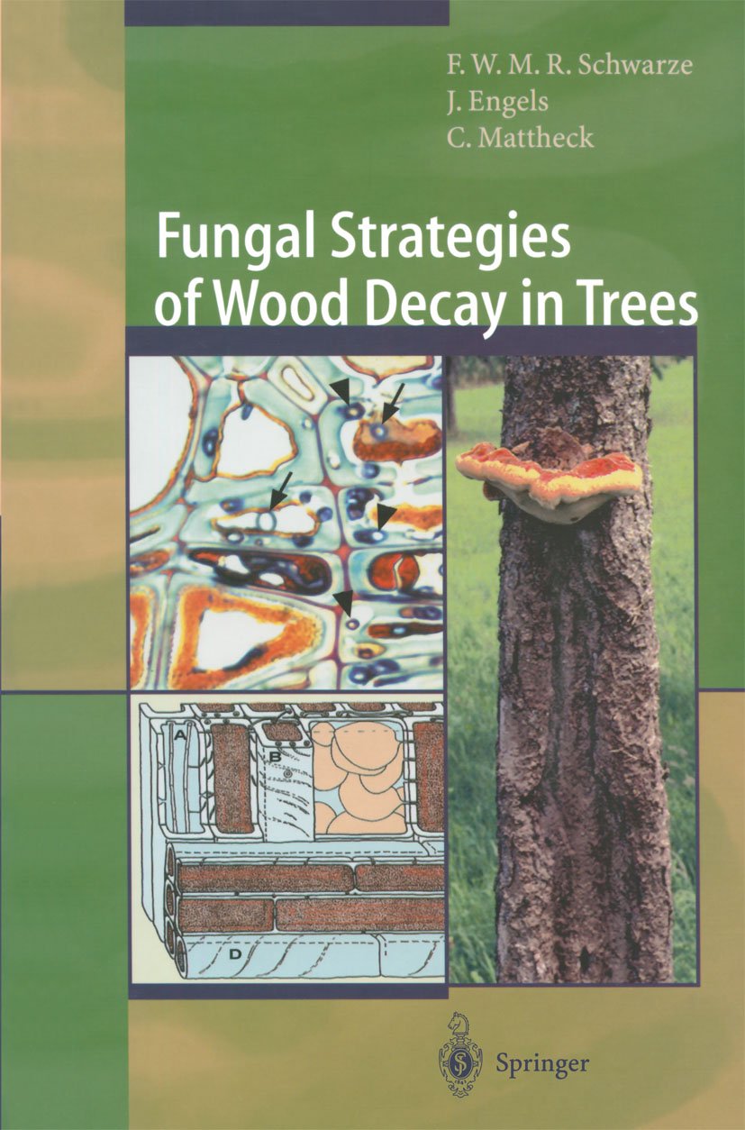 Fungal Strategies of Wood Decay in Trees eBook : Schwarze, Francis W.M ...