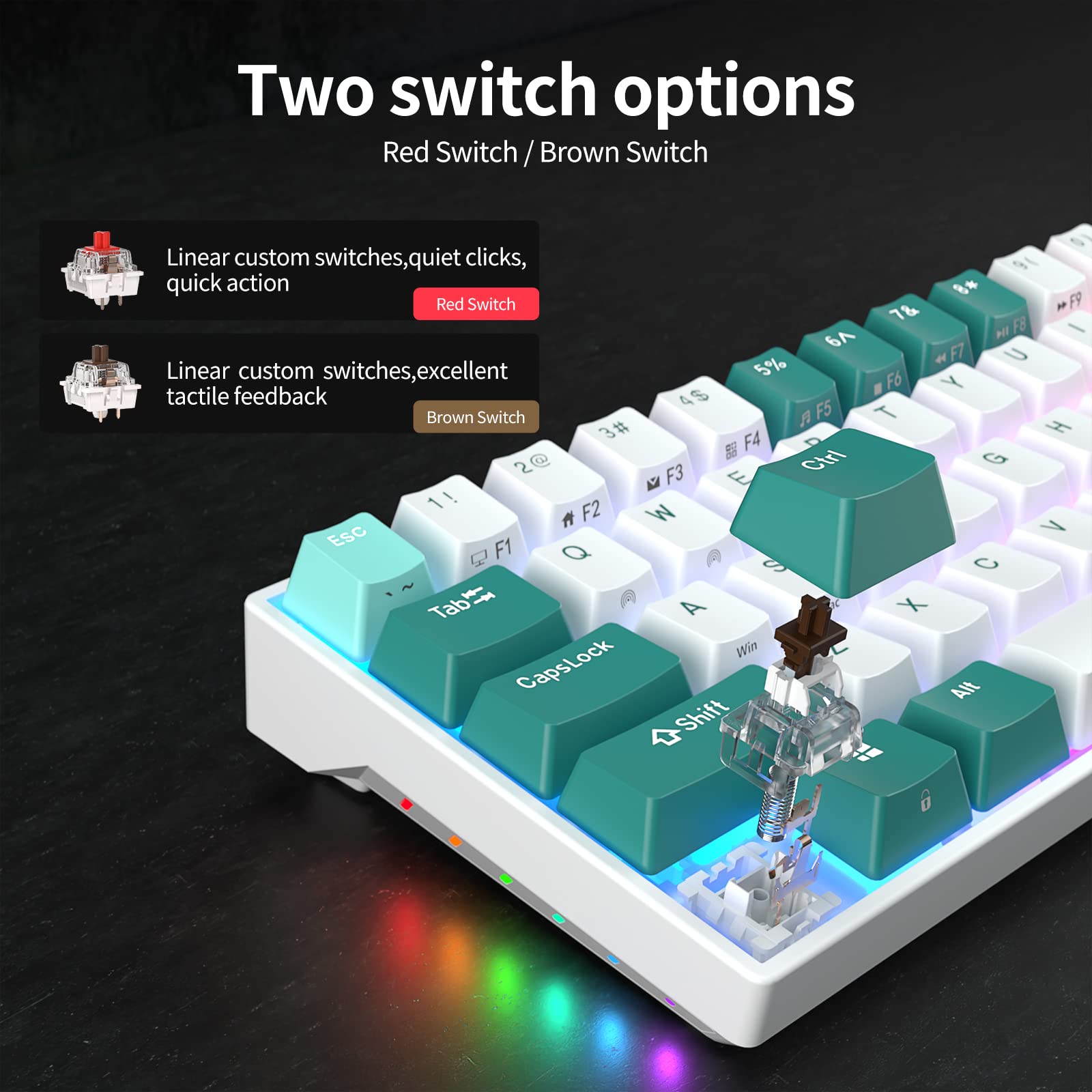 Snapklik.com : RK ROYAL KLUDGE Mechanical Keyboard For Gaming - 71 Keys ...
