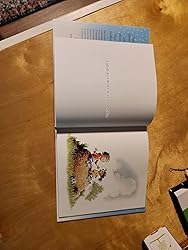 I Wish You More: Rosenthal, Amy Krouse, Lichtenheld, Tom: 9781452126999 ...