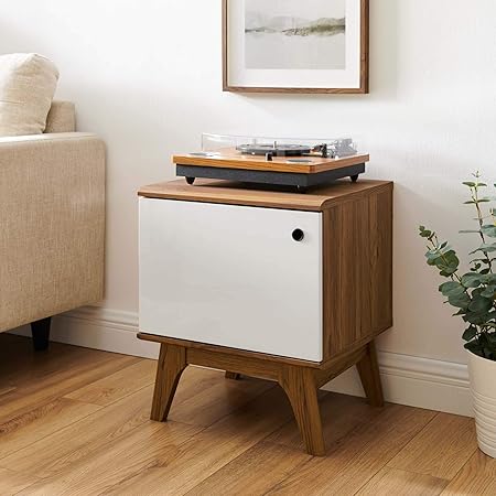 Amazon.com: Modway Render Mid-Century Modern 37" Vinyl Record Display ...