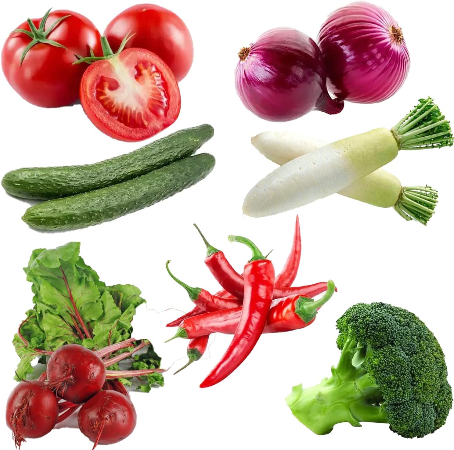 Amazon.com : 13 Pack Vegetable Seeds, 1300+ Survival Vegetable Seeds ...