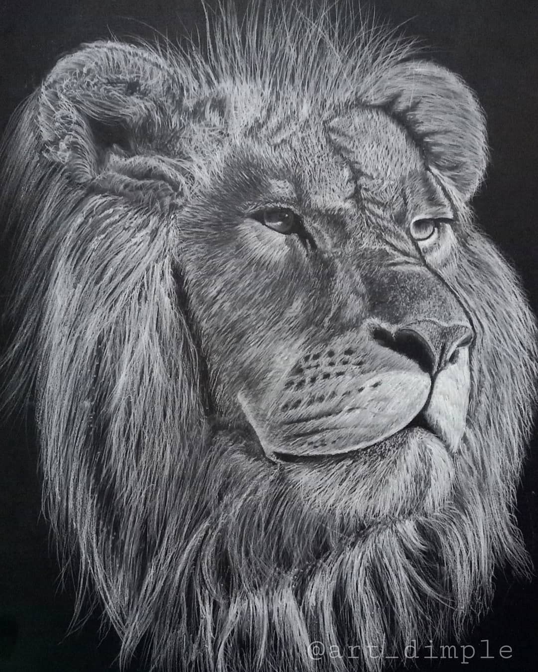 Lakeer A3 Black Paper 180-210 GSM Pack of 25 Sheets-Black - Coloured ...