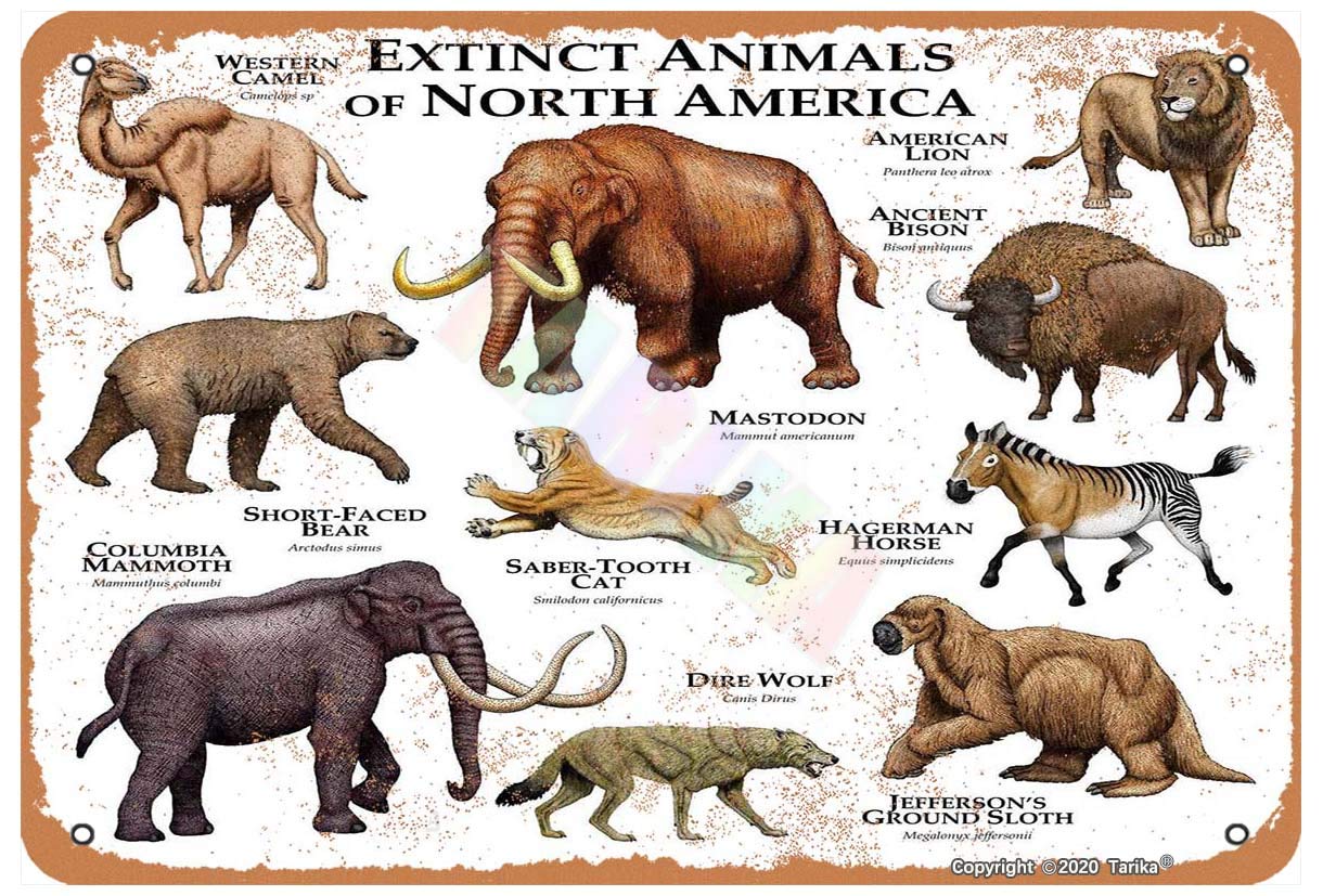 Extinct Animals Poster