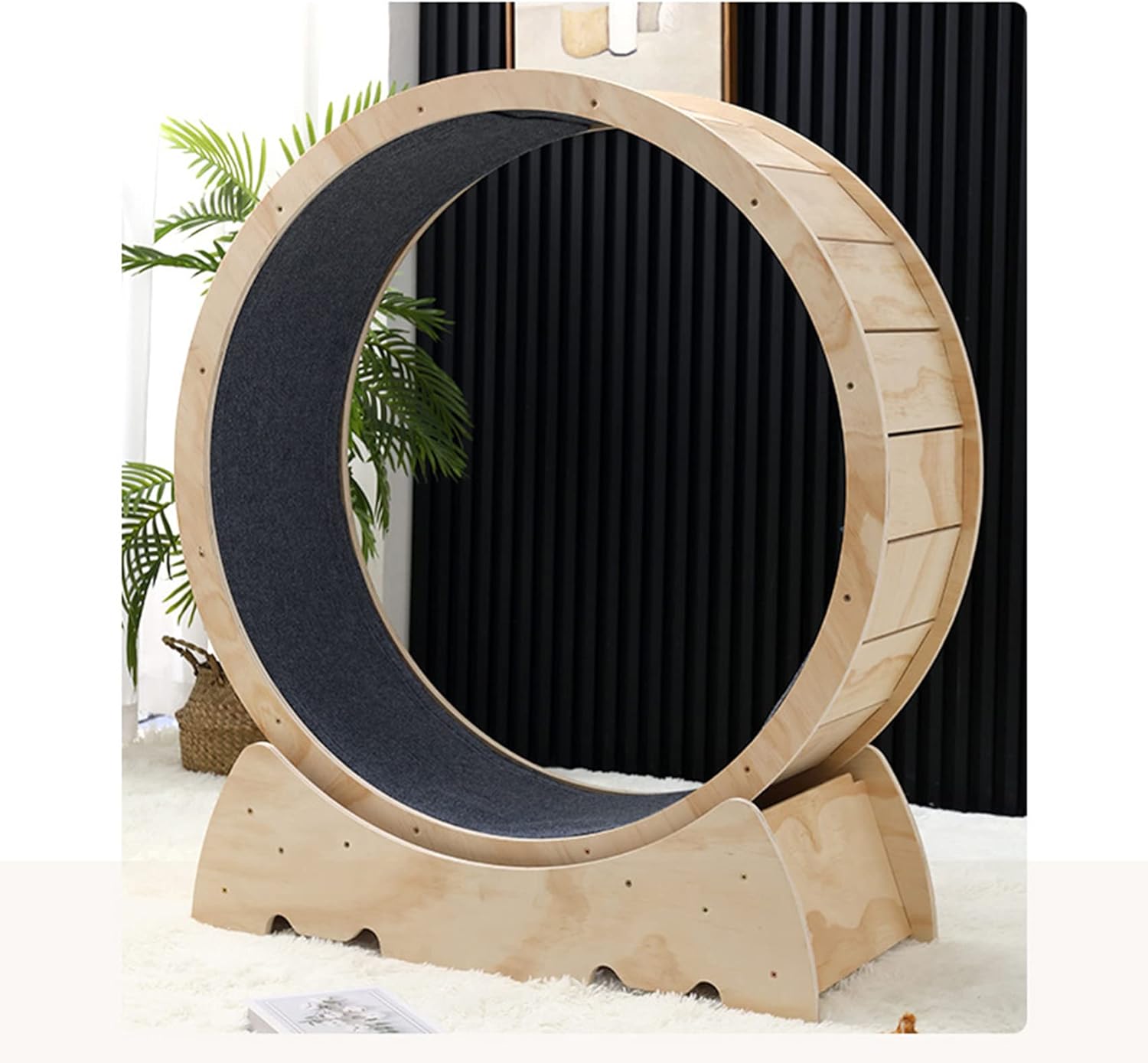 Buy Cat Exercise Wheel, Spinning, Running, and Scratching Fun, Cat ...