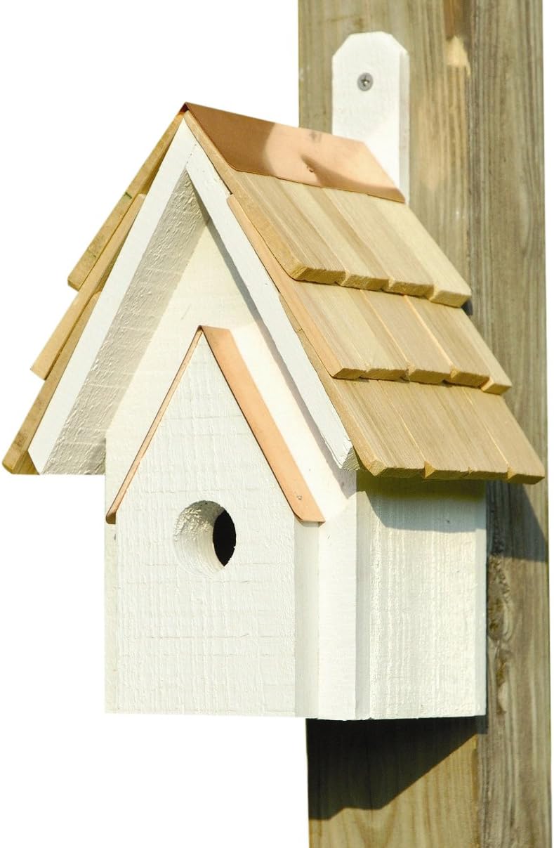 Amazon.com : Heartwood 078B Songbird Suite Decorative Bird House ...