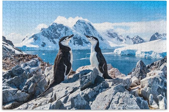 Amazon.com: Chinstrap Penguin Antarctica January Wooden Jigsaw Puzzles ...