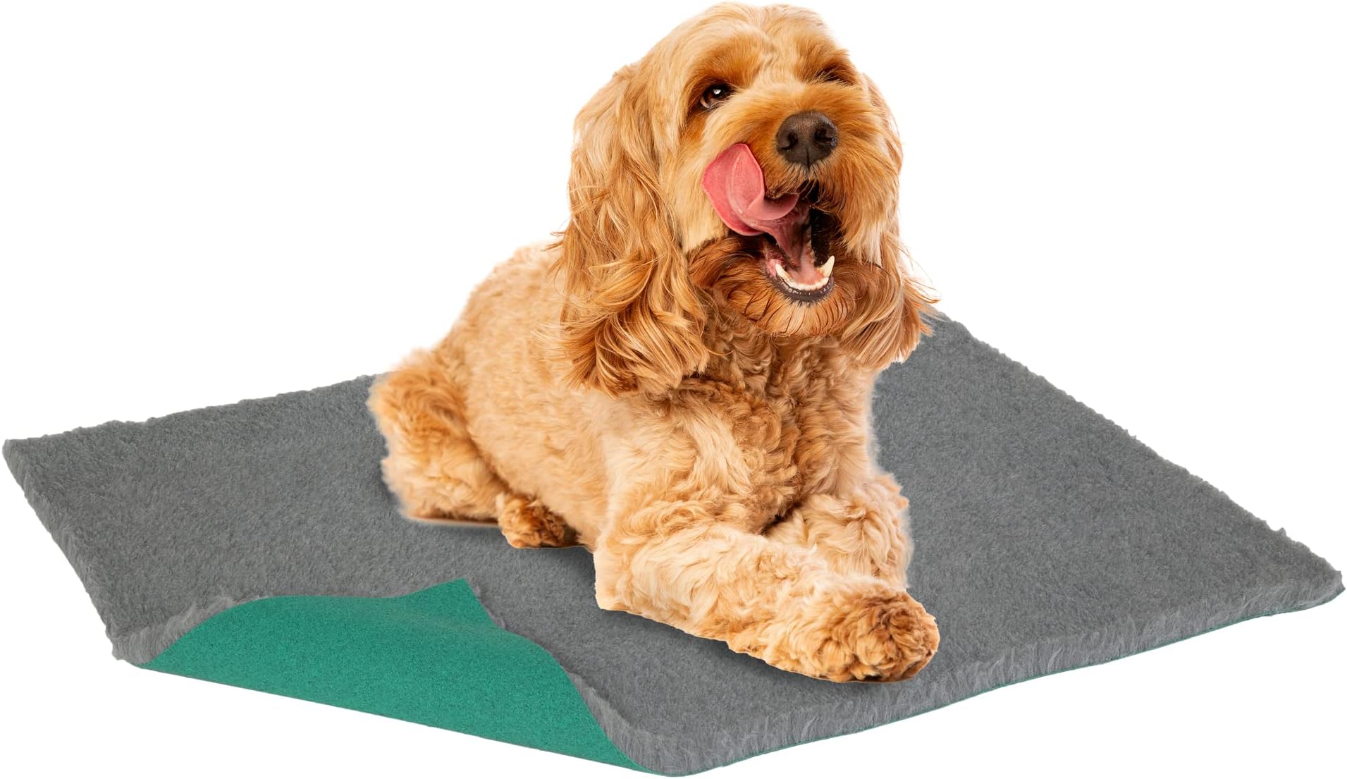 Petlife Vetbed Original for Dog/ Cat, 36 x 24-inch, Grey : Amazon.co.uk ...