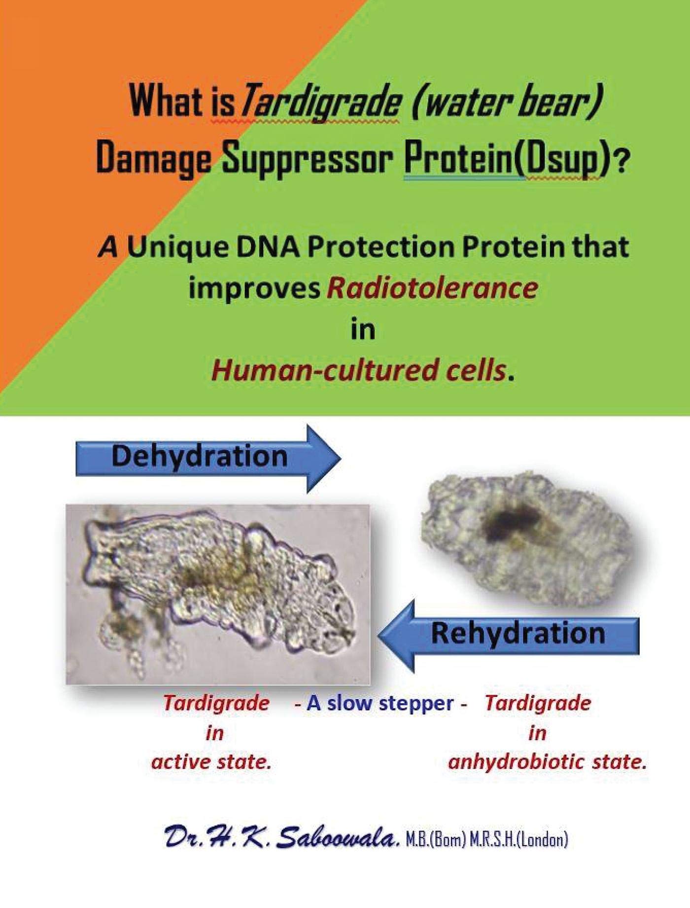 Buy What is Tardigrade (Water Bear) Damage Suppressor Protein(Dsup ...
