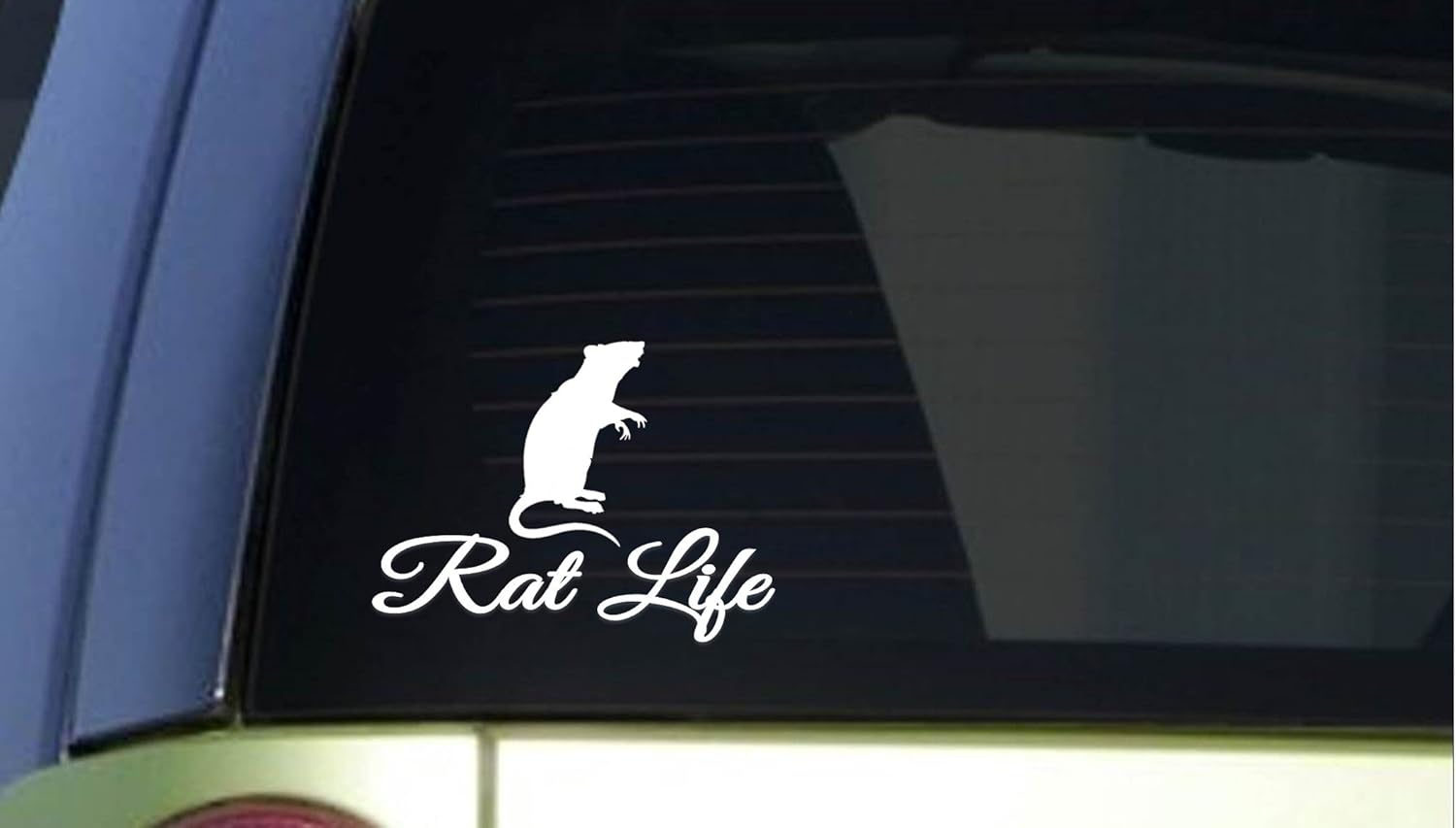 Amazon.com: EZ-STIK Rat LifeI278 6" Sticker Decal Rats mice Snake cage ...