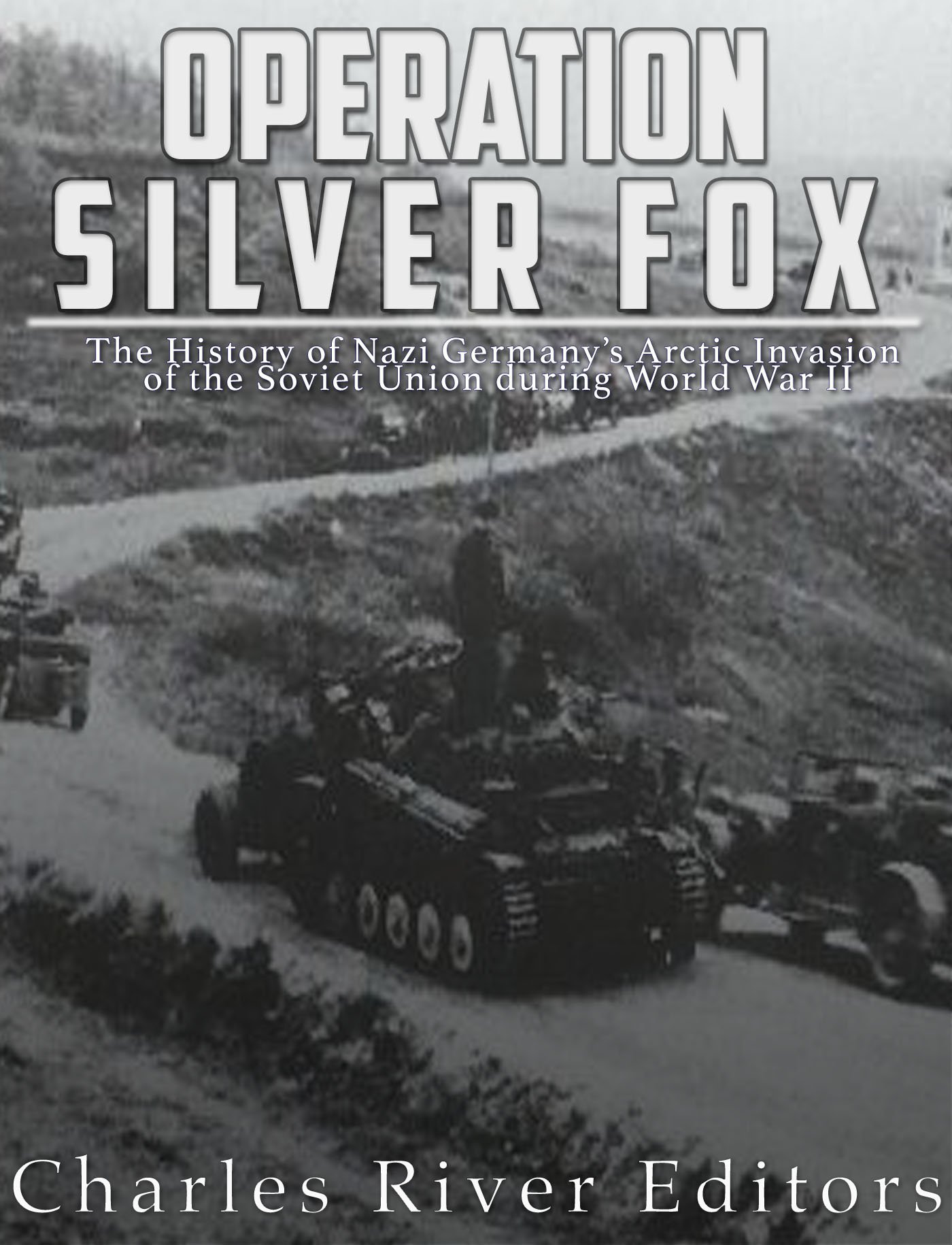 Buy Operation Silver Fox: The History of Nazi Germany’s Arctic Invasion ...