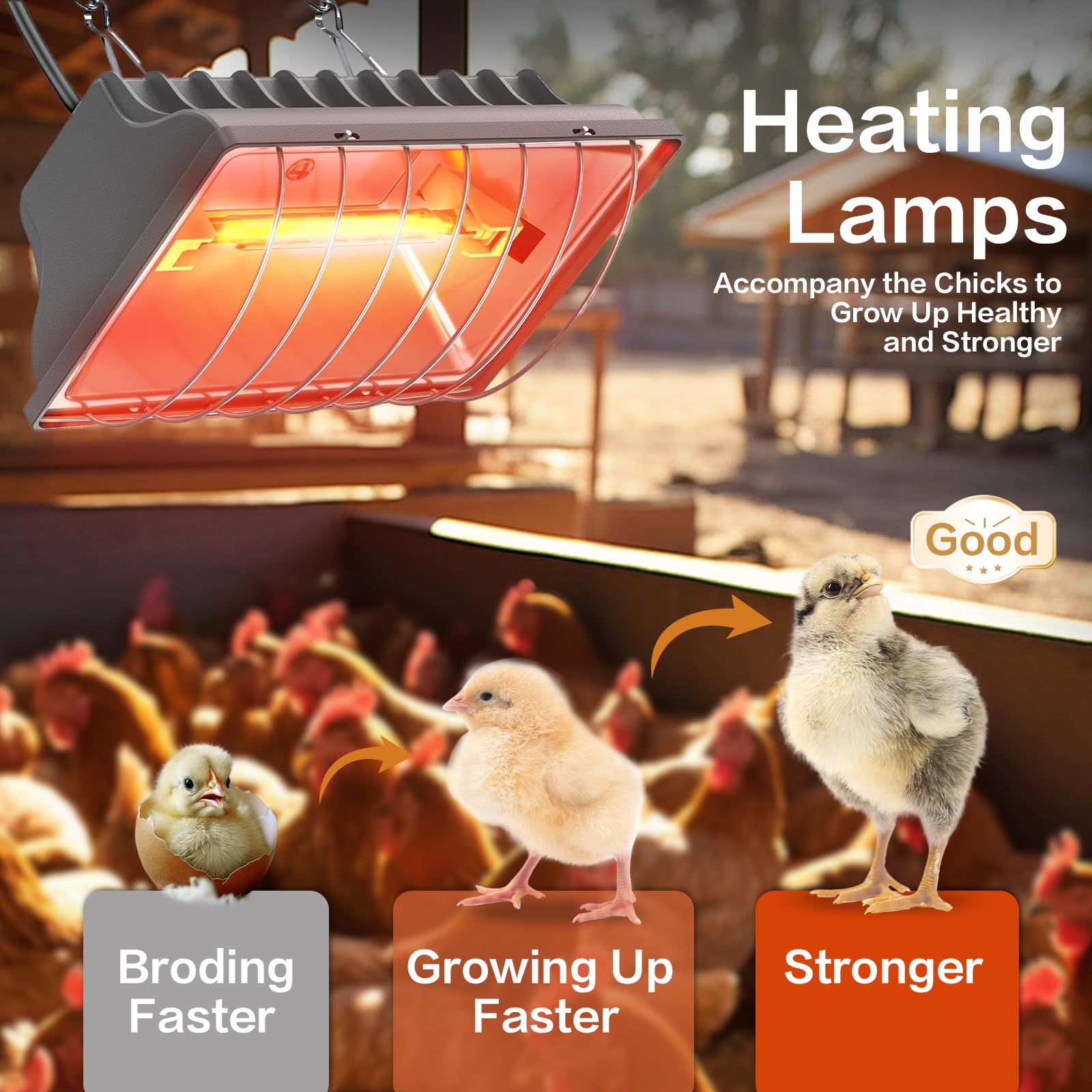 Snapklik.com : 250W Chicken Coop Heater For Chicks Ducks Dog Kennel ...