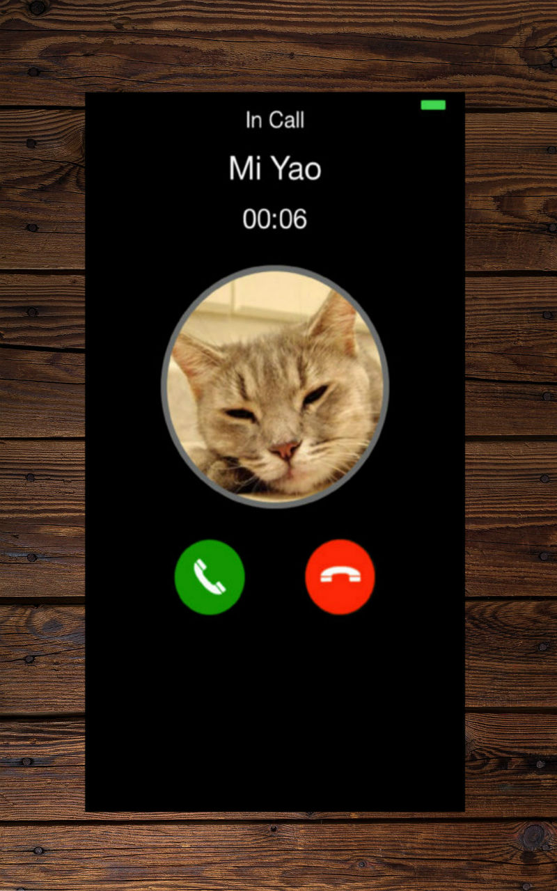 Fake Cat Call Prank - Fake Call from Cat Prank (Calling Prank from Cat ...