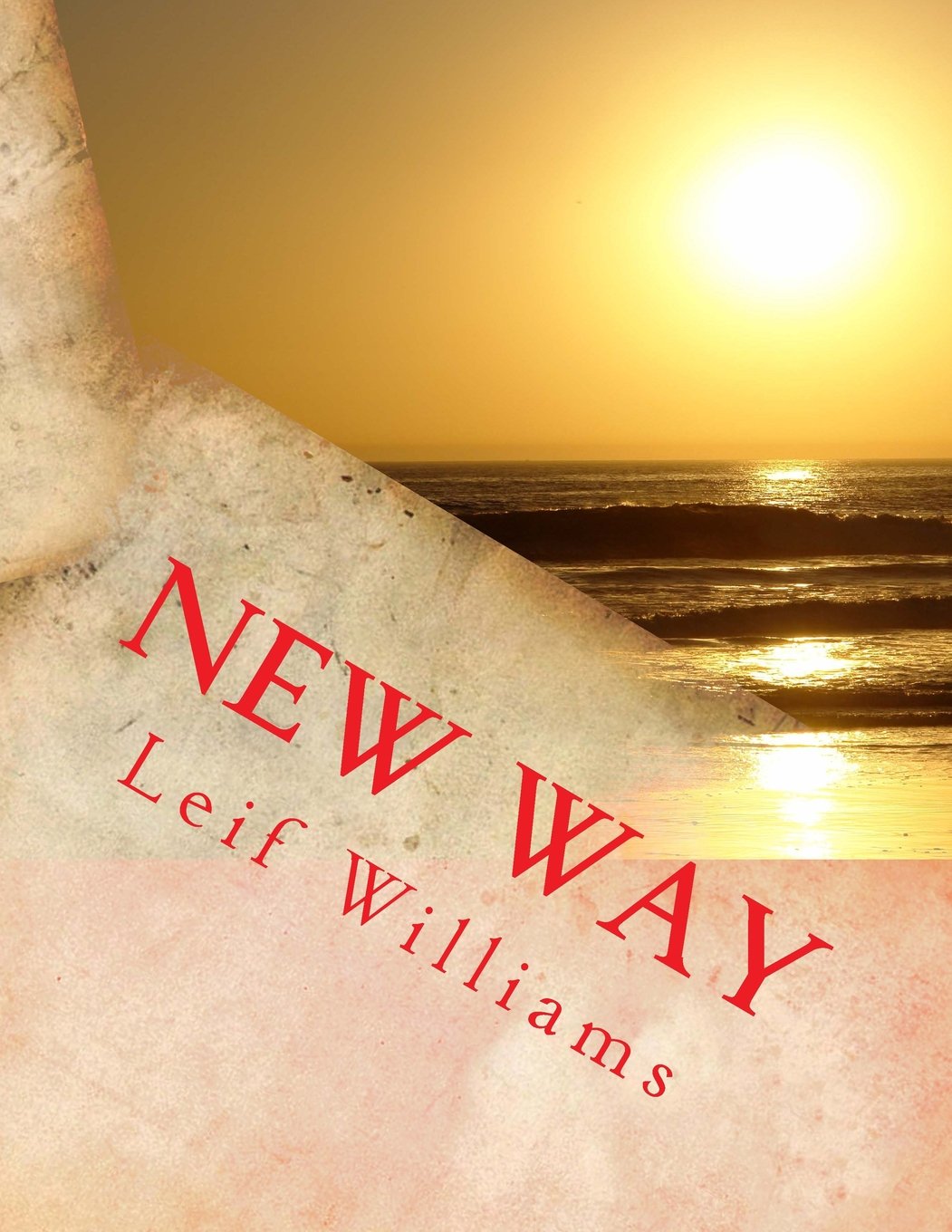 New Way: Williams, Leif: 9781545137826: Amazon.com: Books