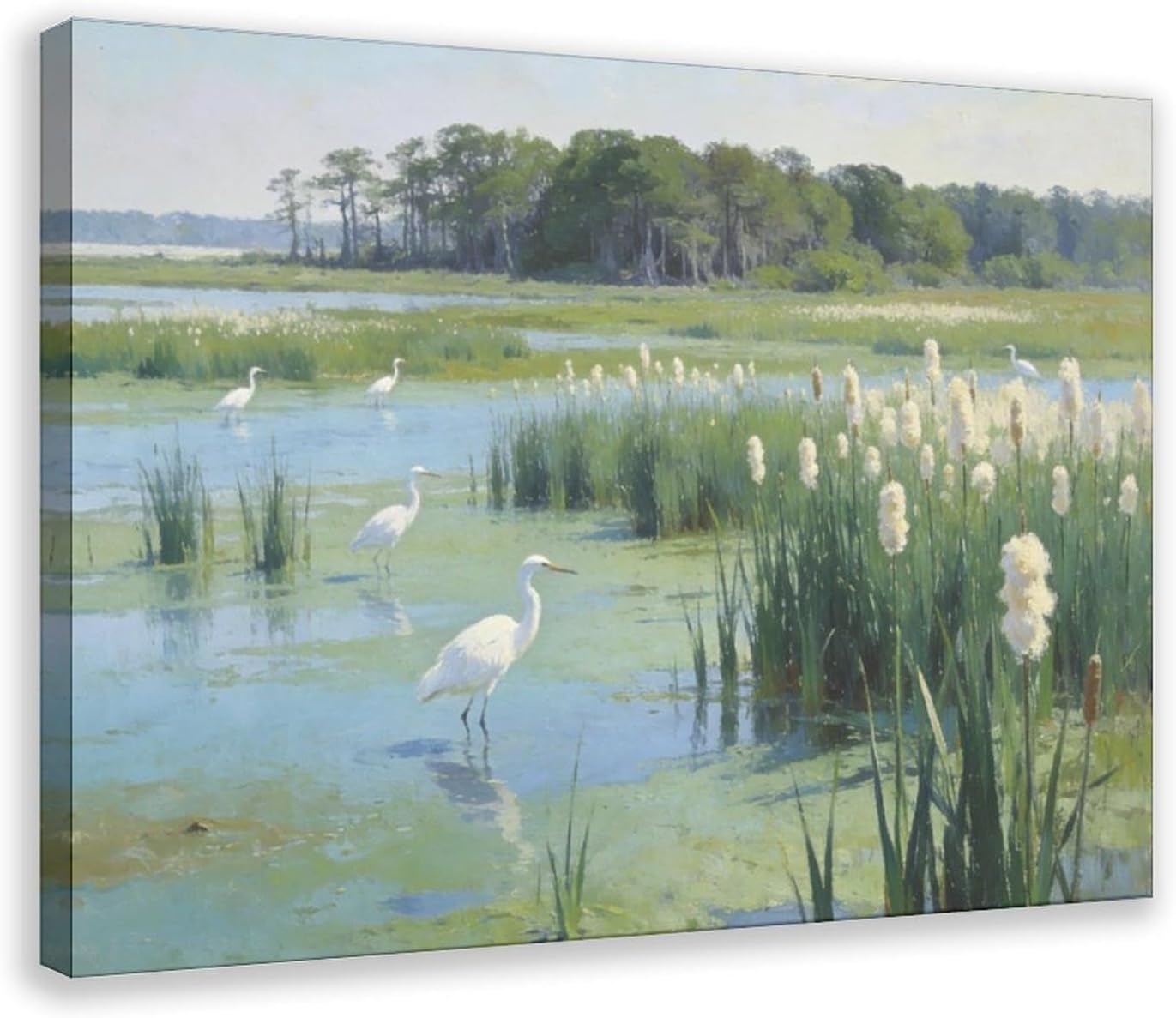 Amazon.com: Frame Marsh Bird Wall Art Poster Print, White Egret Wetland ...