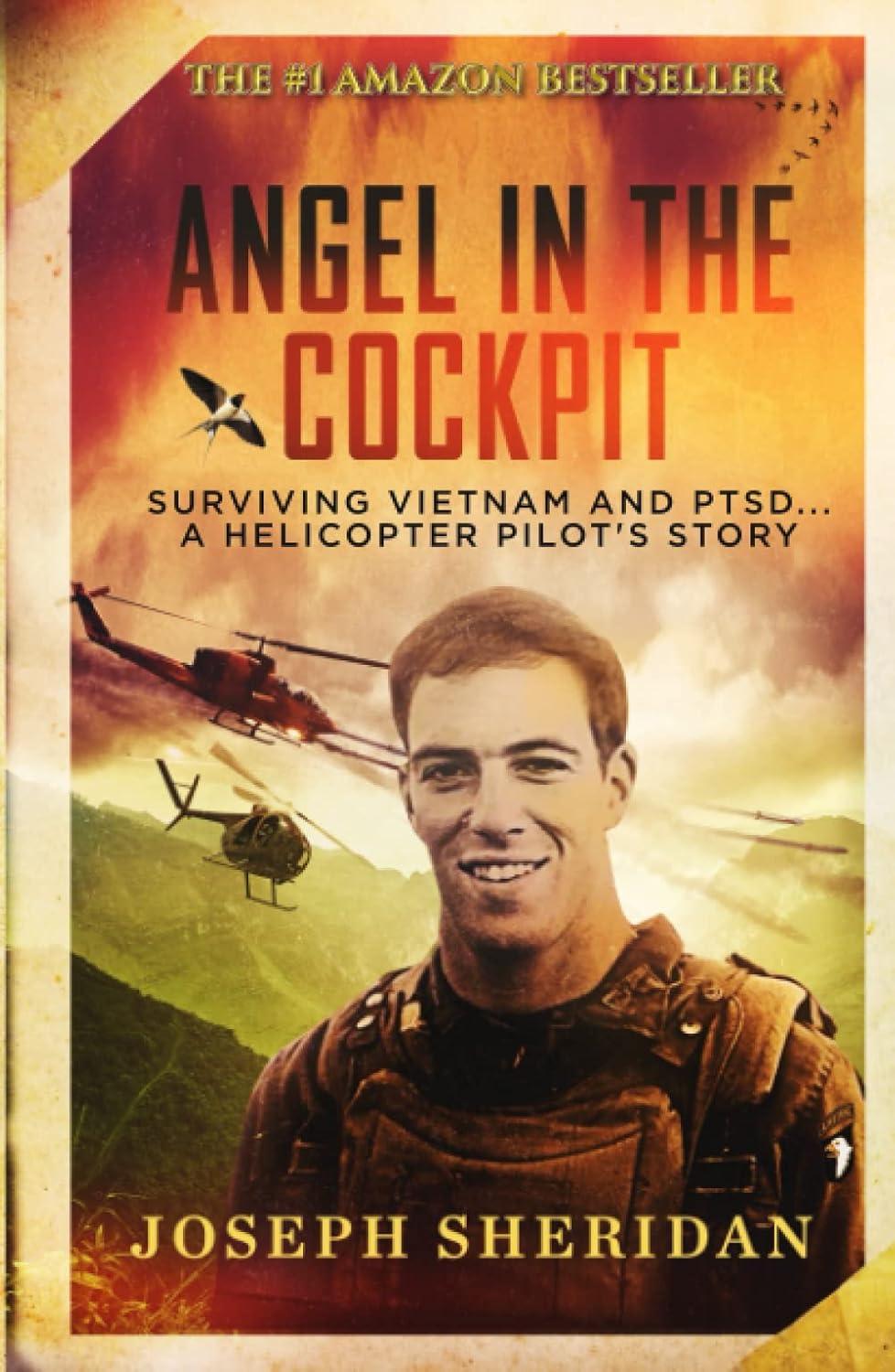 Angel In The Cockpit: Surviving Vietnam And PTSD . . . A Helicopter ...