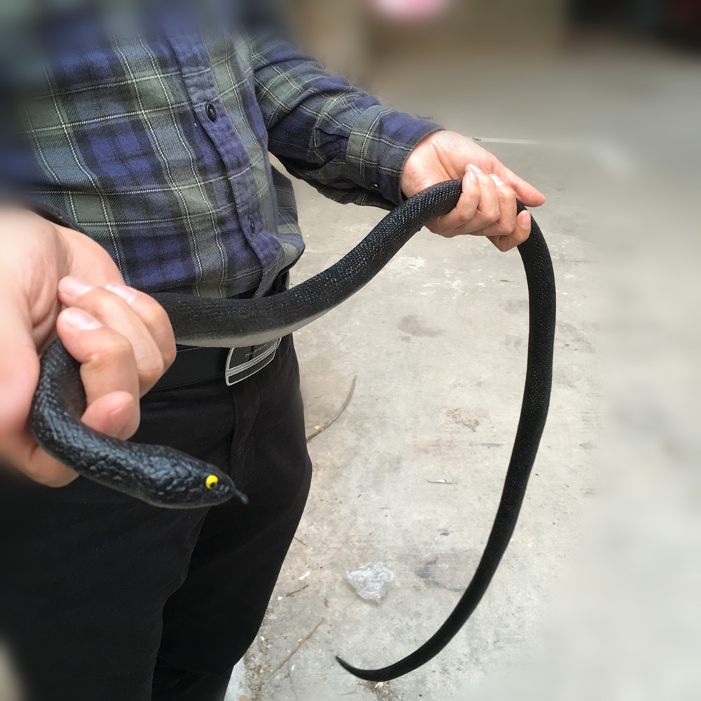 Watch COTOSEY Rubber Snake Realistic Fake Snakes Toy on Amazon Live