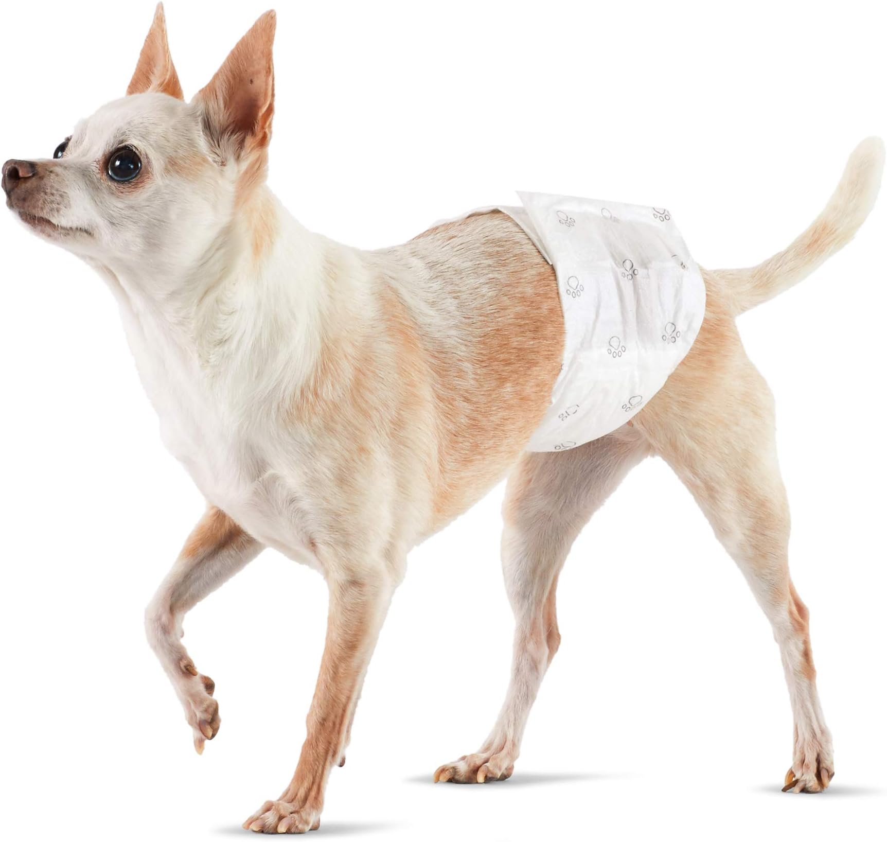Amazon Basics Absorbent, Leakproof Male Dog Wrap Disposable Diapers, X ...
