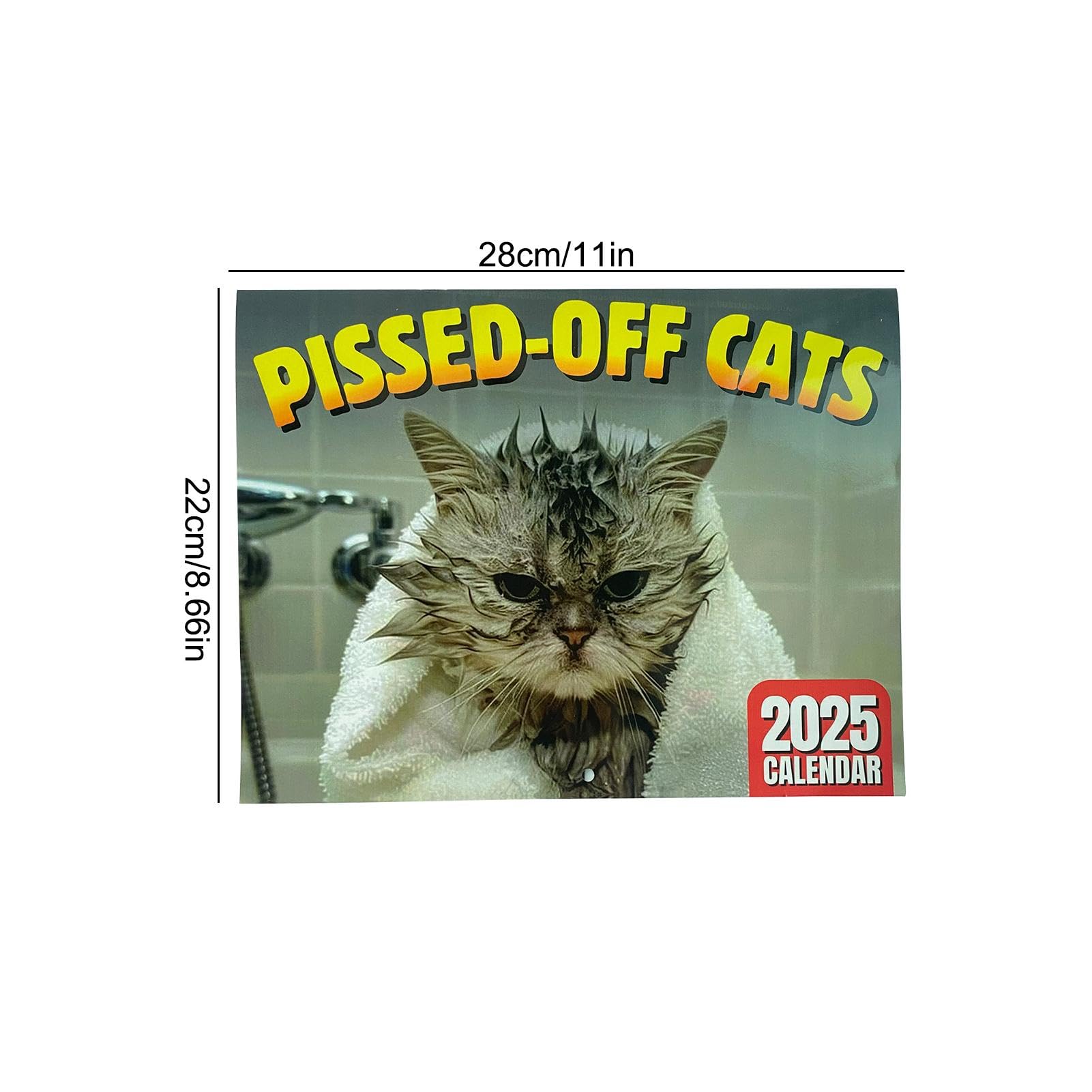 Pissed Off Cat Meme