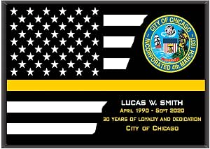 Amazon.com: Dispatcher Employee Recognition Award Plaque, City Worker ...