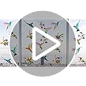 Amazon.com: 20 Pieces Large Size Hummingbird Window Hummingbird Decals ...
