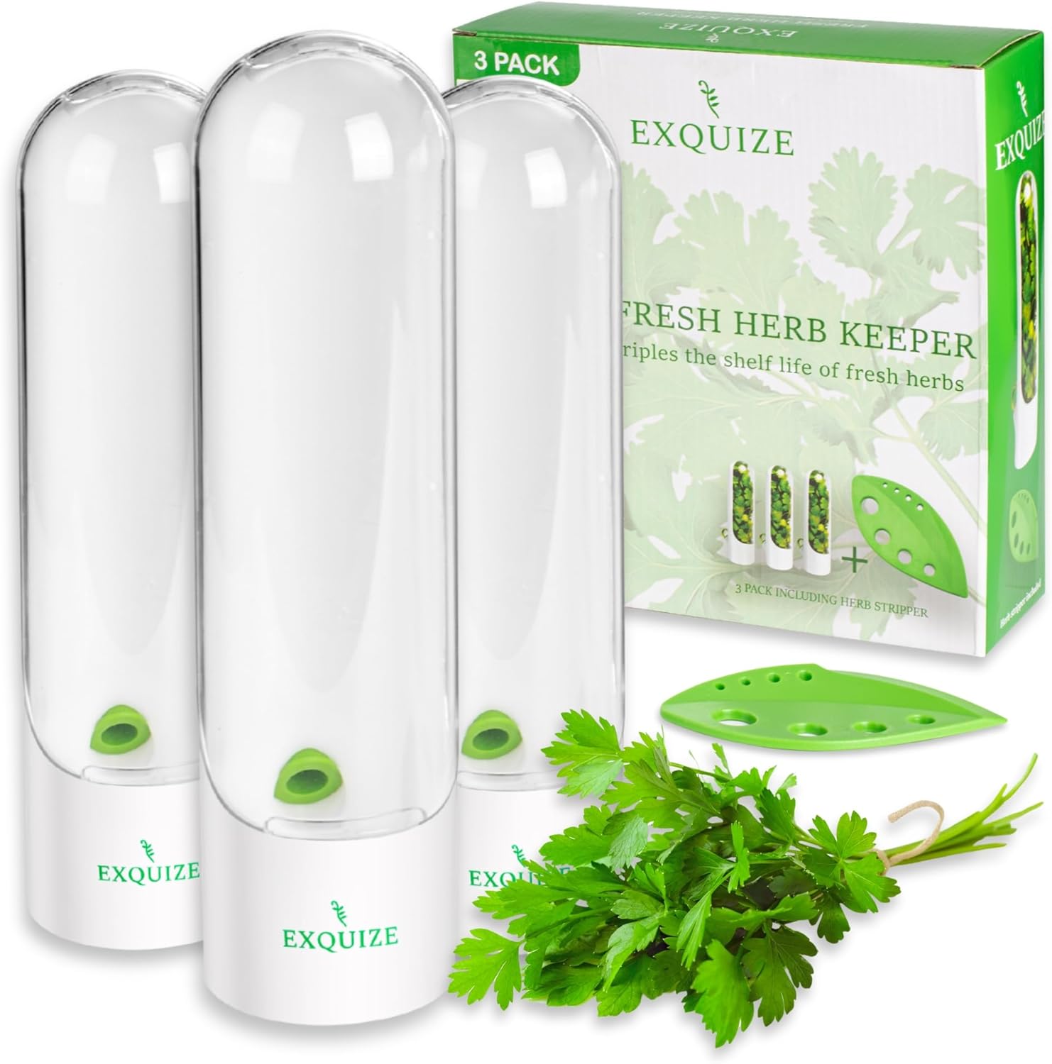 Amazon.com: Cilantro Container for Fridge - Fresh Herb Keeper for ...