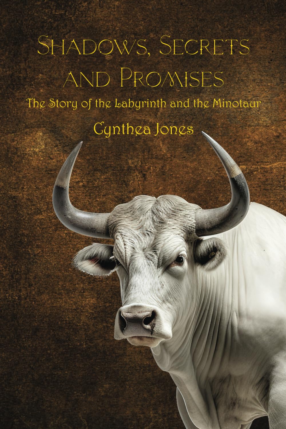 SHADOWS, SECRETS AND PROMISES: THE STORY OF THE LABYRINTH AND THE ...