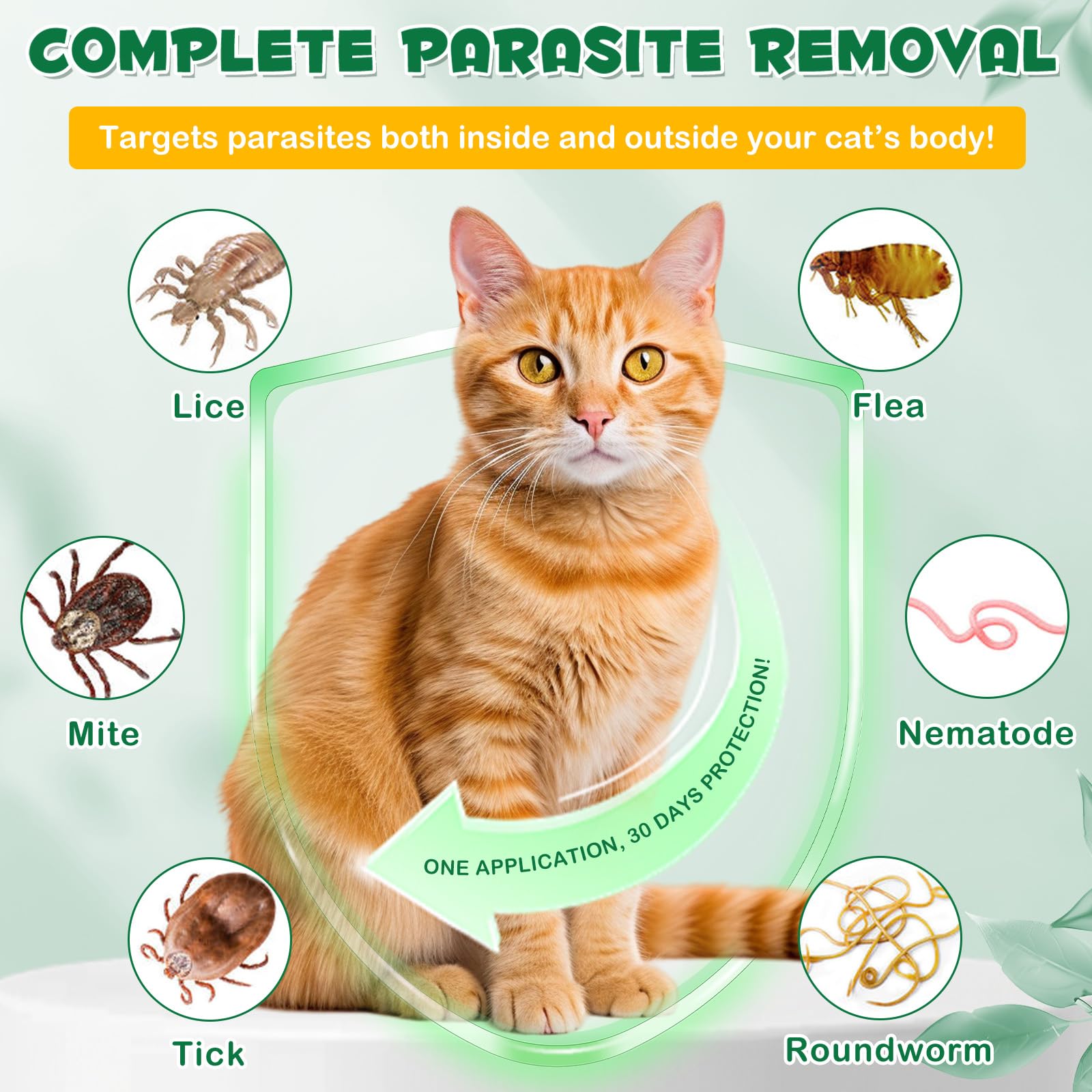 Topical Dewormer Drops For Cats 6P, Deworming Spot On For Cats, Flea ...