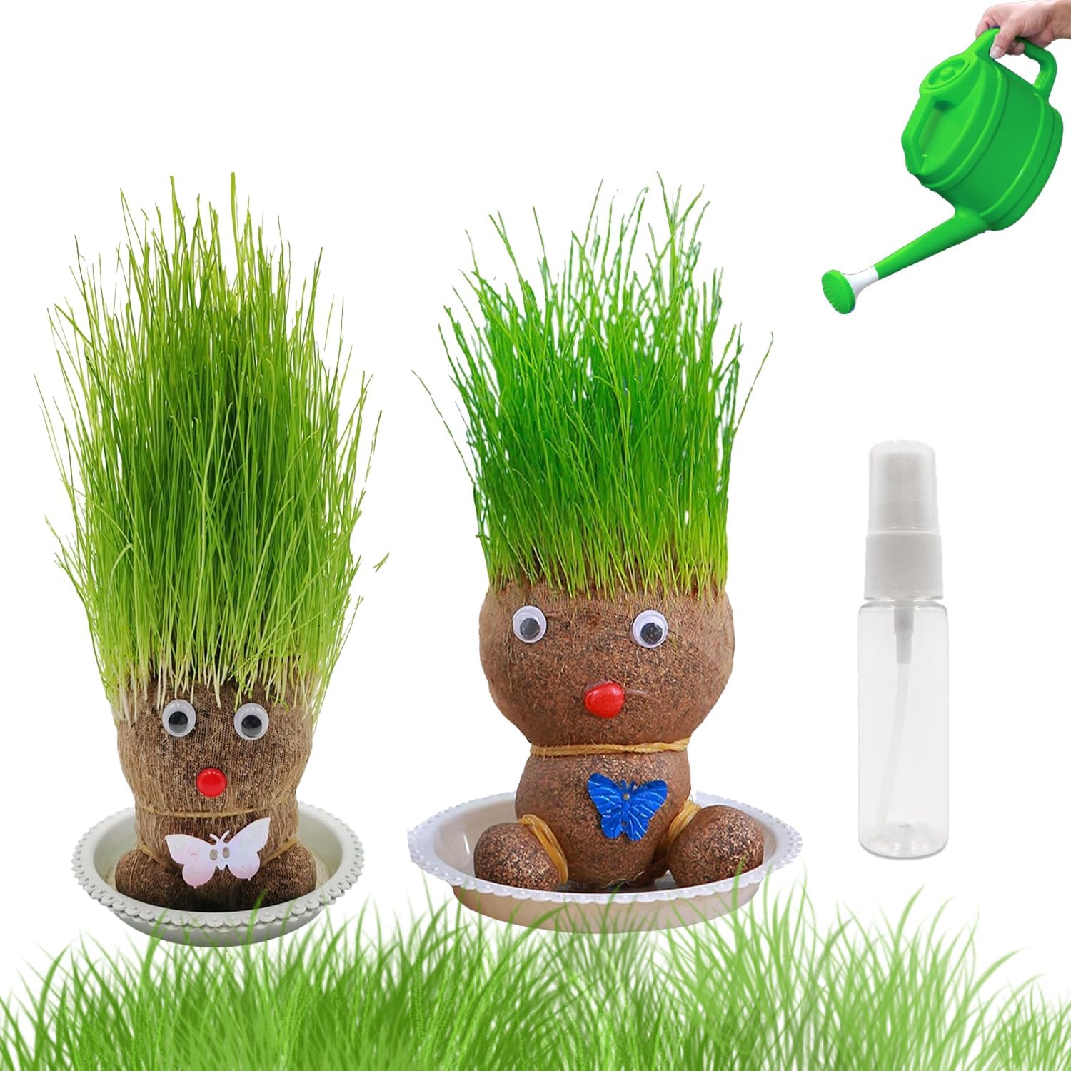 Grass Head Doll Plant, 2 Pieces Growing Grass Head Doll Plant, Grass ...