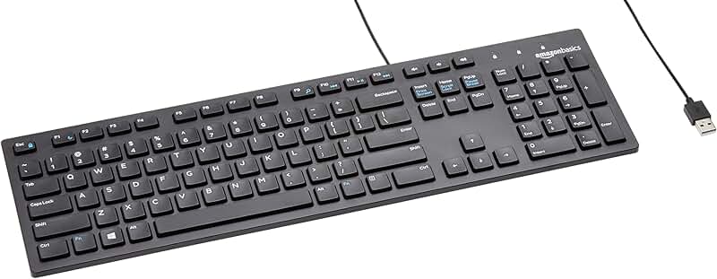 Amazon.ca: Keyboard