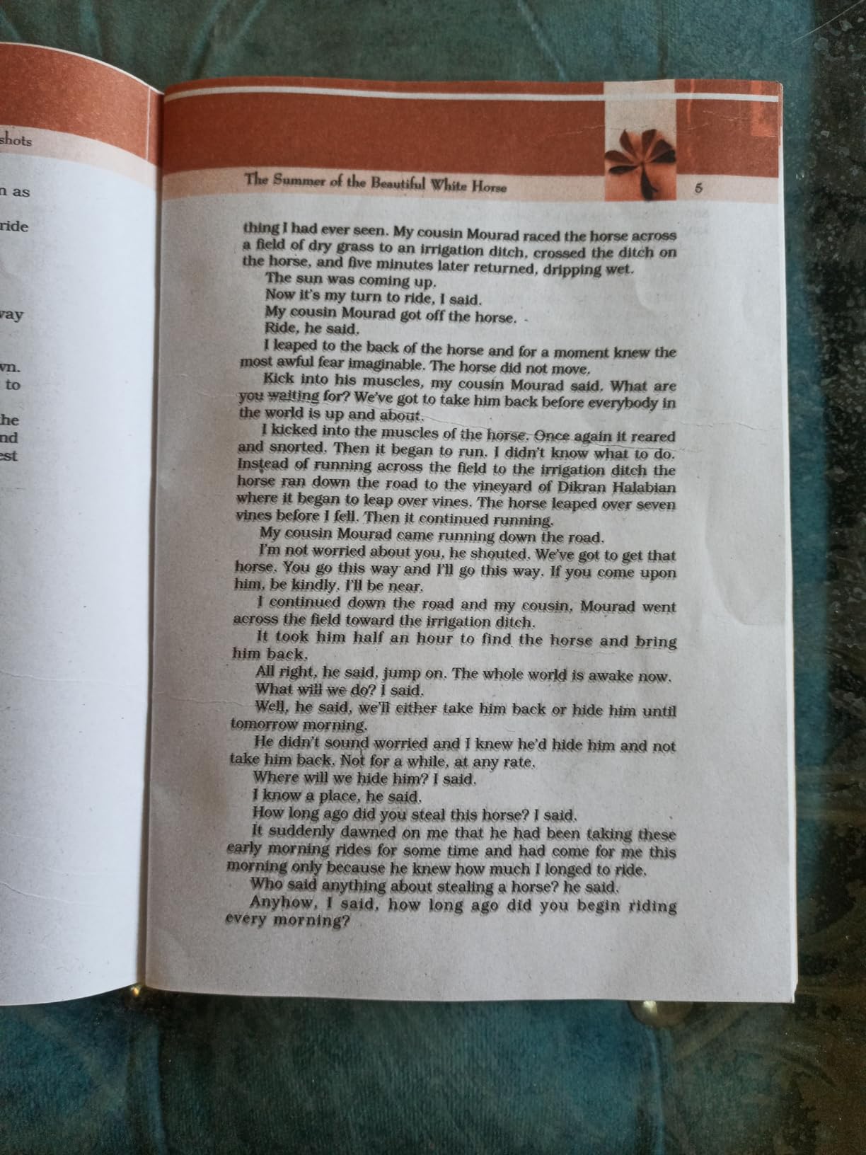 Snapshots English Supplementary Reader for Class - 11 (Core Course ...