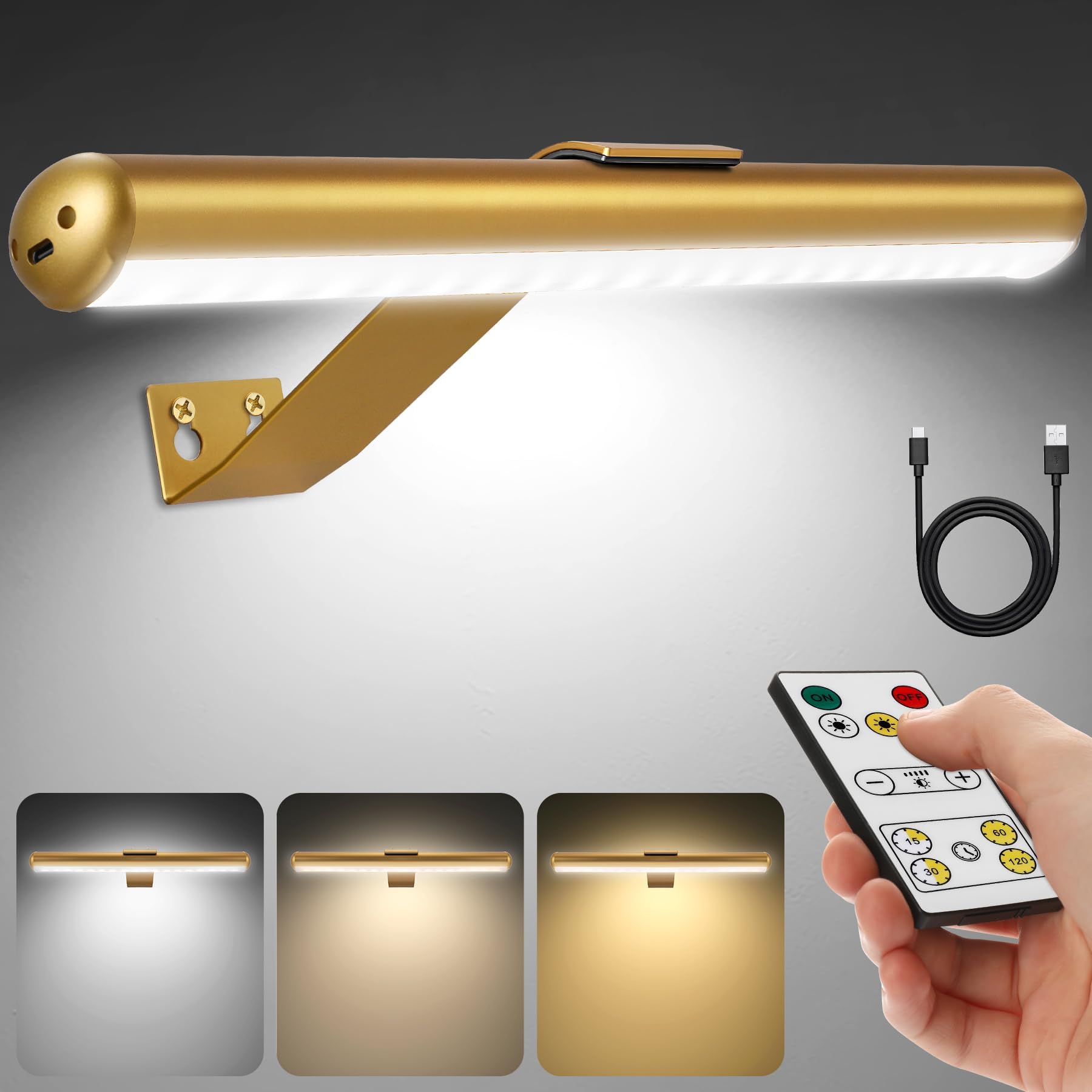 Amazon.com: TINTINDOC Picture Light 6000mAh Battery Operated Painting ...