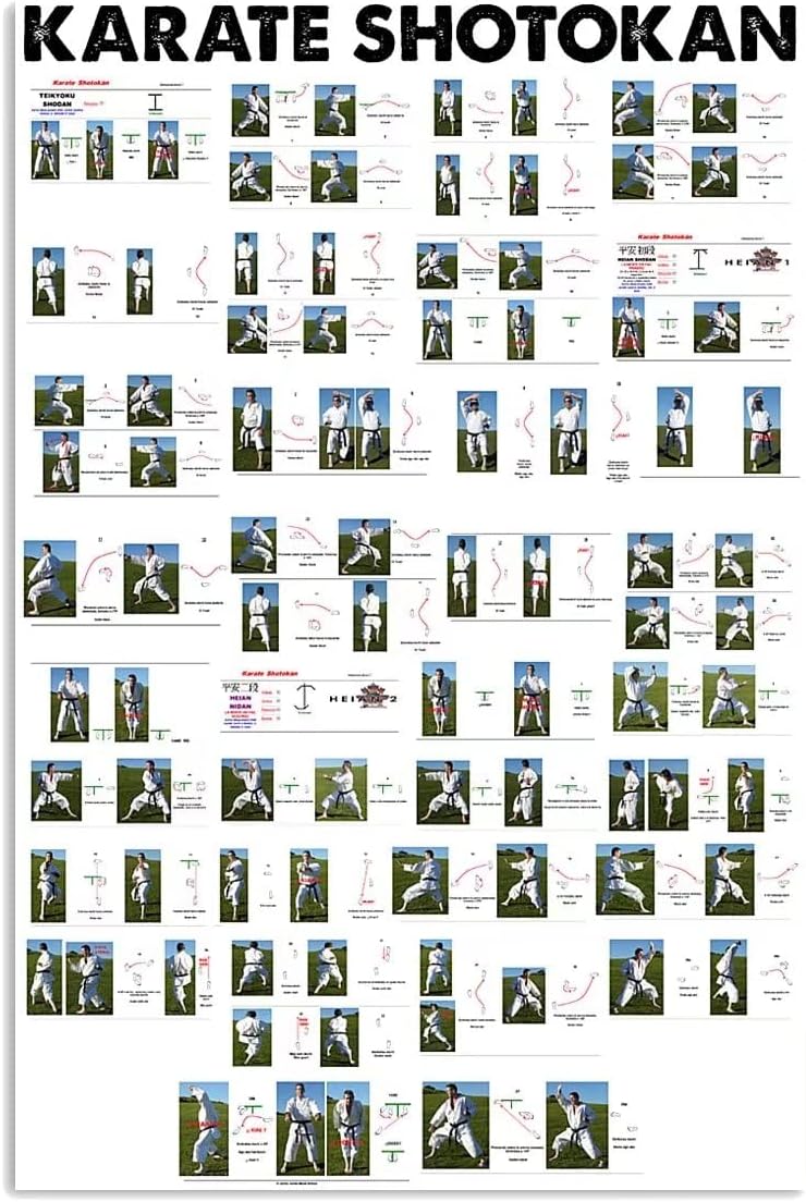 Amazon.com: Karate Shotokan Infographic Metal Sign Vintage Club Decor ...