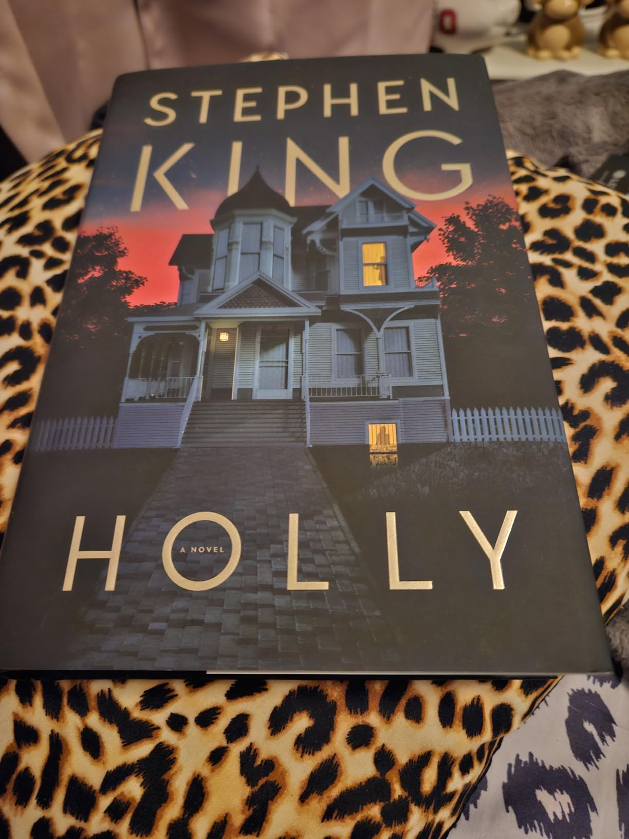 Amazon.com: Holly: 9781668014943: King, Stephen