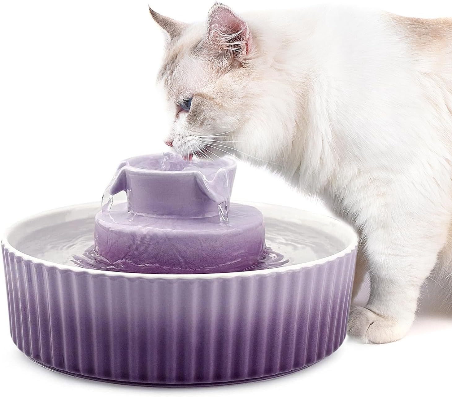 Amazon.com : Cat Water Fountain Pet Water Fountain Dog Water Dispenser ...