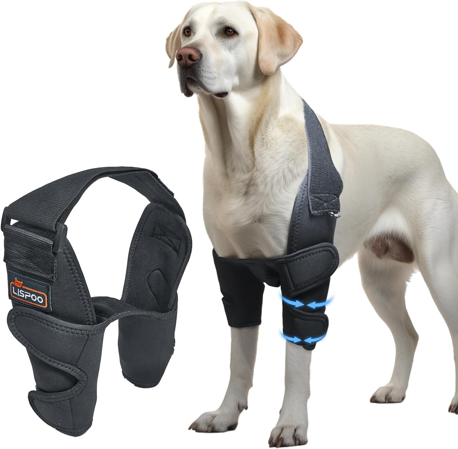 Amazon.com : RIXBEO Dog Elbow Brace, Dog Shoulder Brace, for The ...