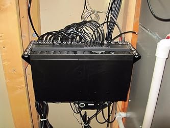 Amazon.com: StarTech.com 5U Vertical Wall Mount Rack - 19in Low Profile ...