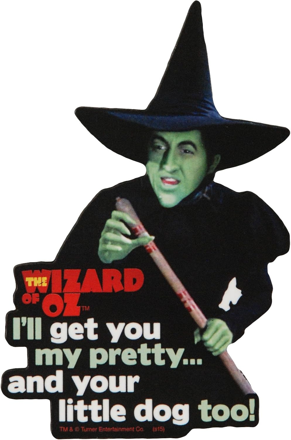 Amazon.com: AQUARIUS Wizard of Oz Witch Funky Chunky Novelty Magnet for ...