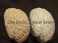 Amazon.com: Brain Stress Toy - Gray by Ariel : Toys & Games