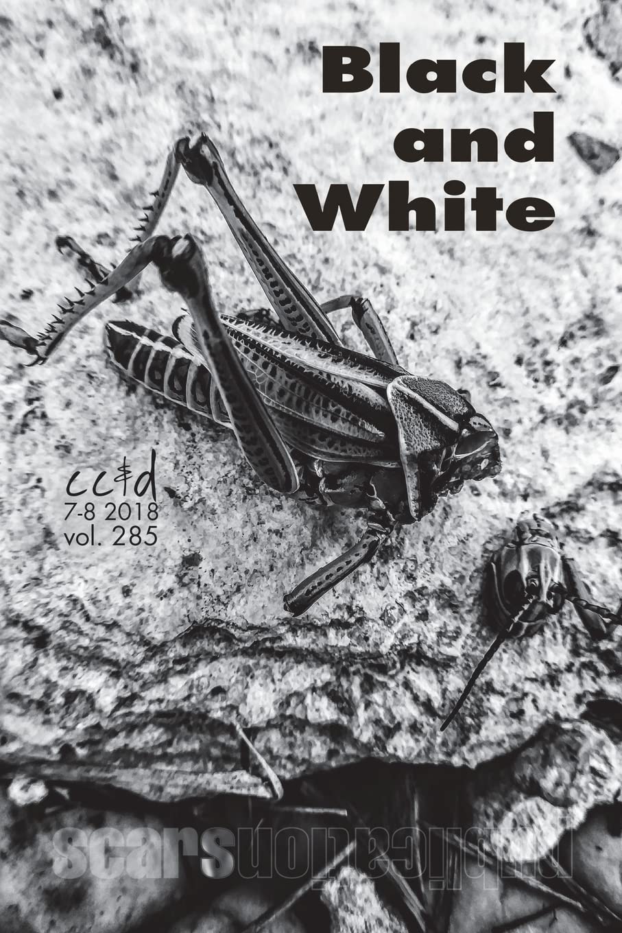 Black and White: cc&d magazine v285 (the July-August 2018 issue: cc&d ...