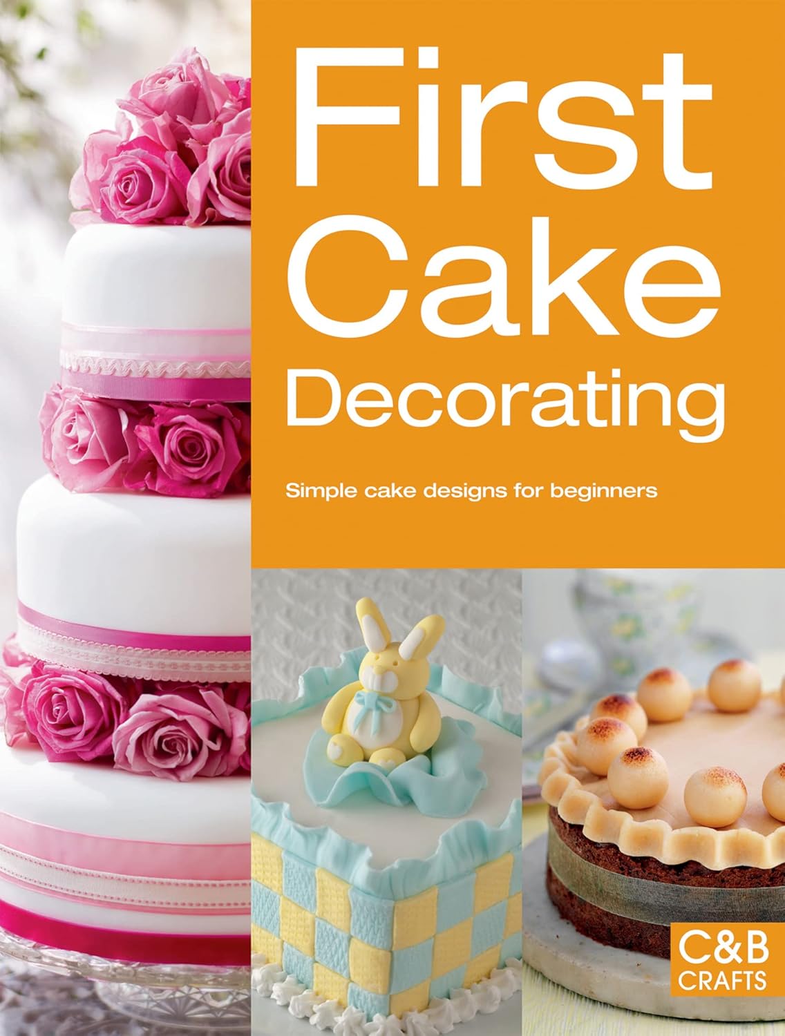 First Cake Decorating: Simple Cake Designs for Beginners (First Crafts ...