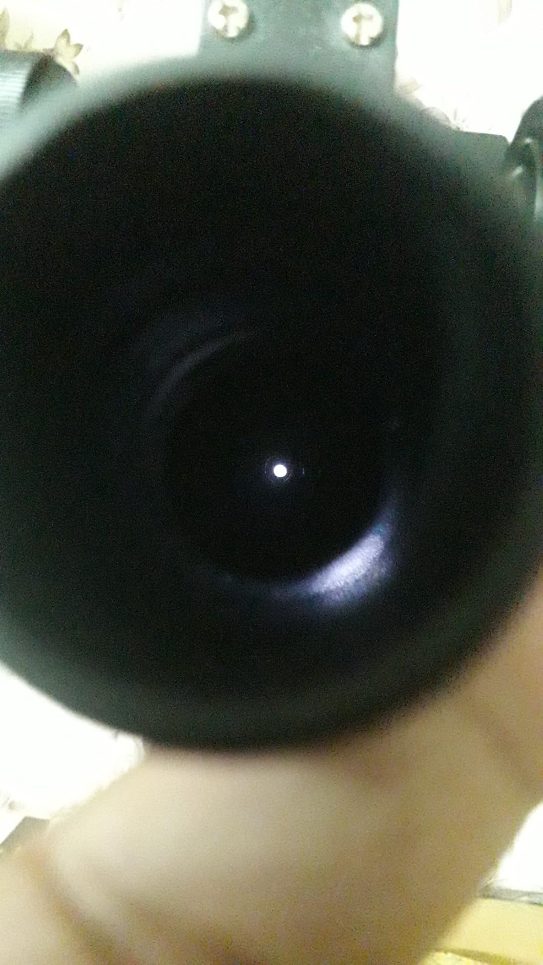 Gom Plastic Microscope 100X Objective Lens : Amazon.in: Electronics