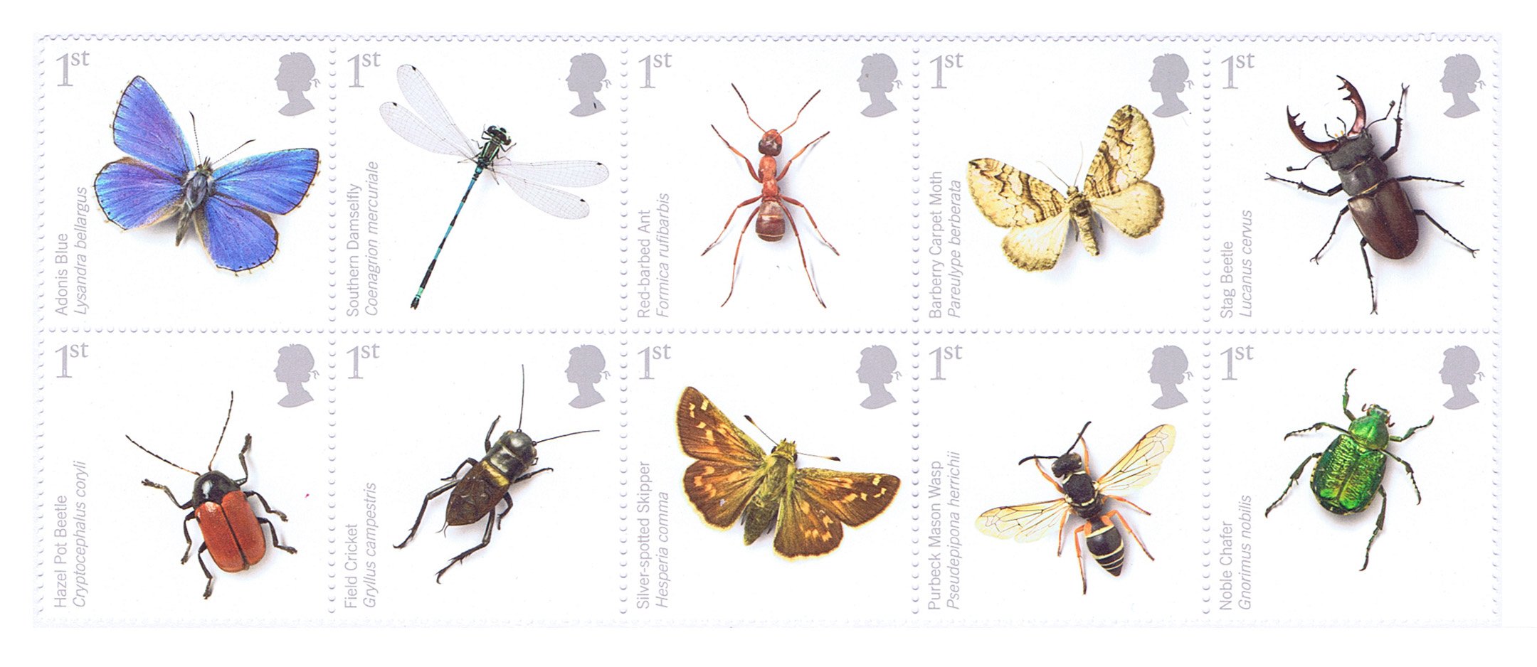 Insect stamps - 10 x 1st Class Royal Mail Mint Stamps for postage. 2008 ...