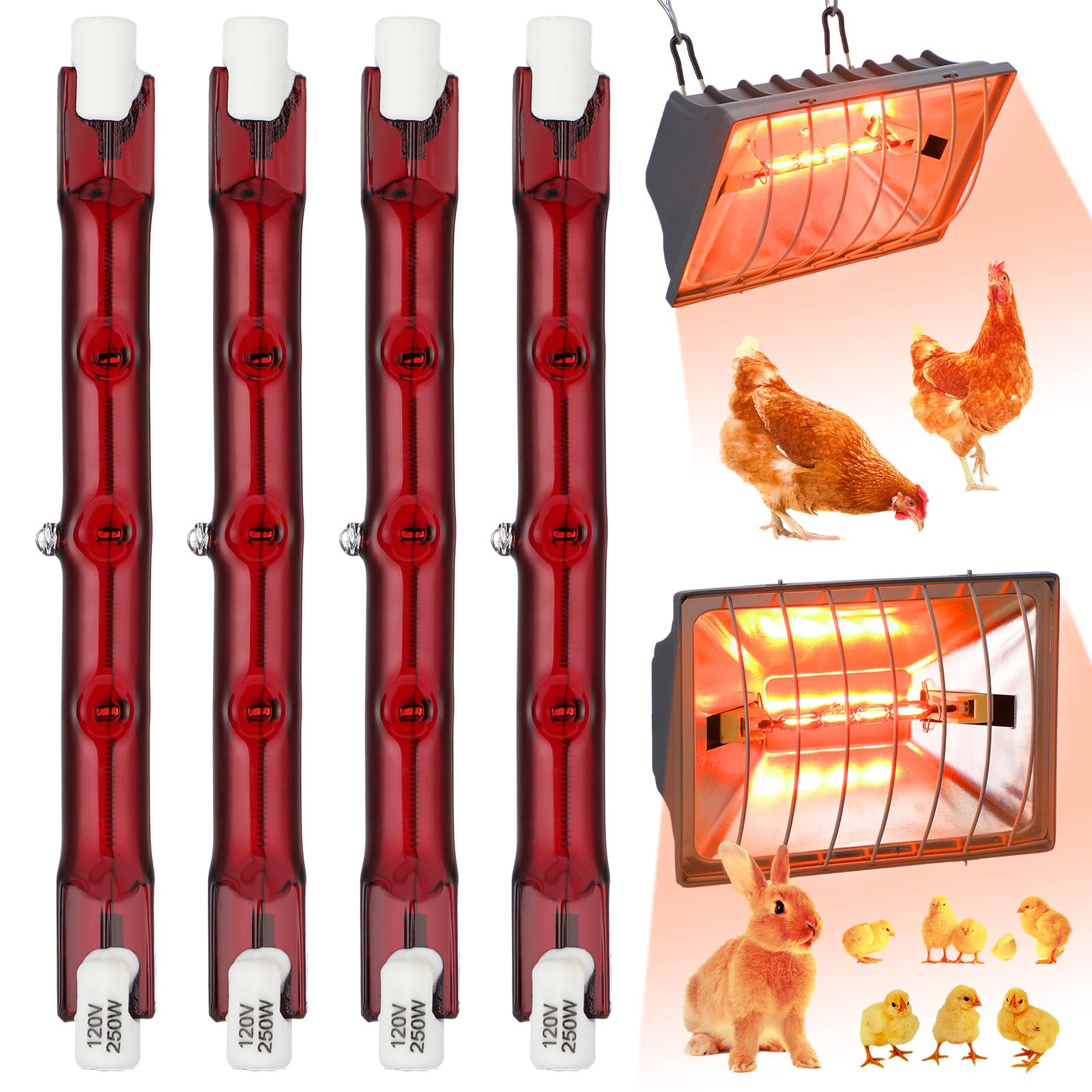 Amazon.com : Tujoe 4 Pcs 250w Chicken Coop Heat Lamp Replacement Light ...