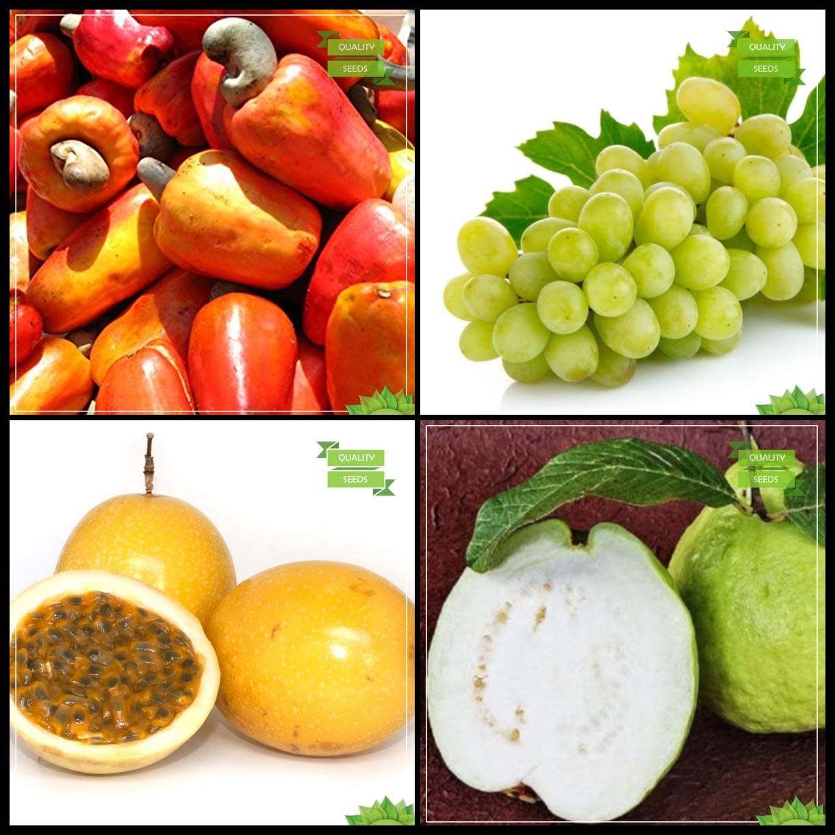 Creative Farmer All Purpose Combo Fruit : Cashew Seed, Grape, Passion ...