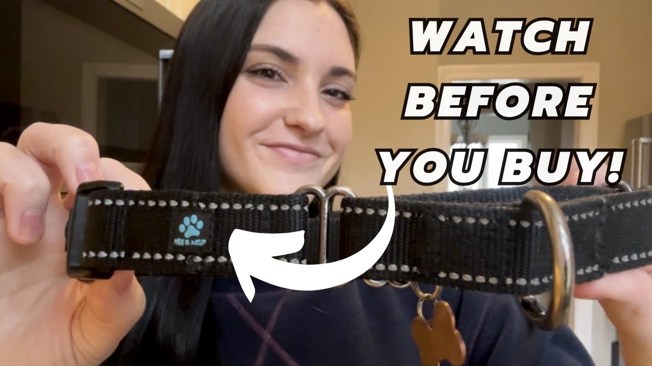Watch Review Closer Look! Max and Neo Nylon Martingale Collar on Amazon ...