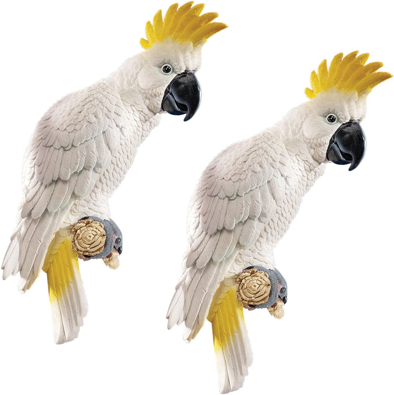 Amazon.com: Design Toscano Citron Cockatoo Bird Tropical Decor Wall ...