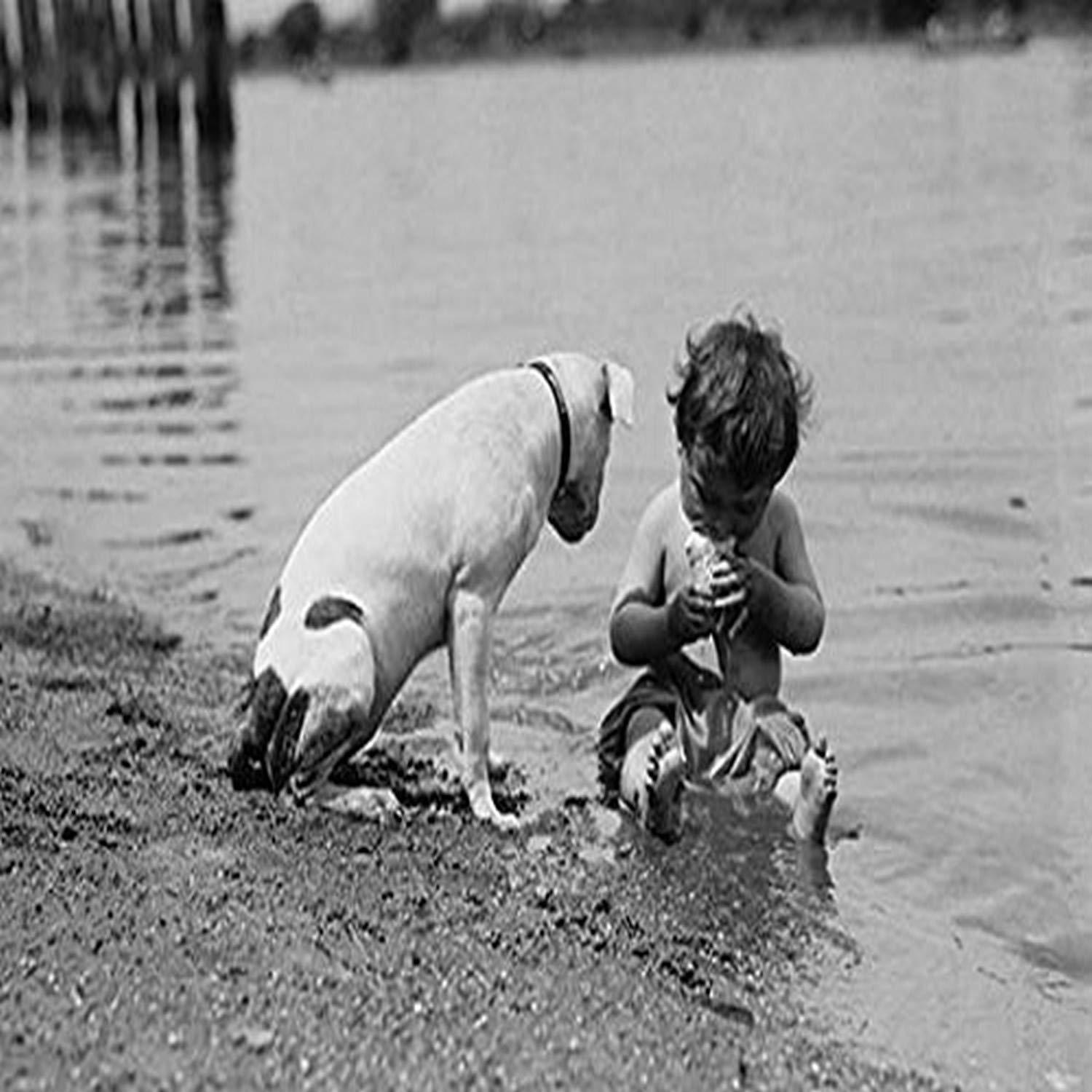 Cabezas De Cono Bebe