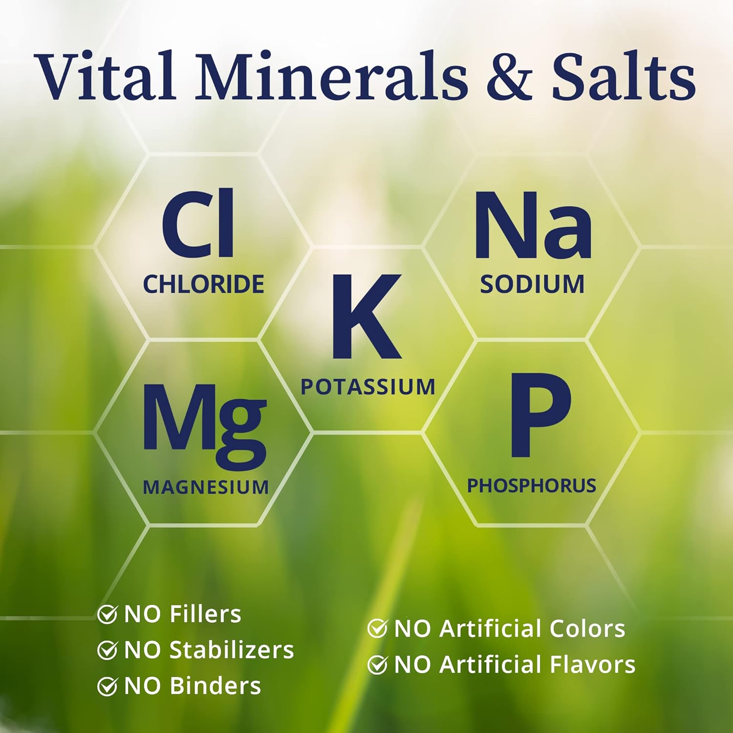 BioPure Polvo de electrolitos de matriz Suplemento mineral y de sal ...