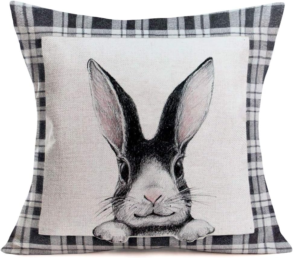 Amazon.com: Bohemian Bunny Throw Pillow Covers Pack of 2 French Vintage ...