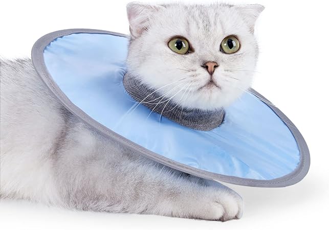 Amazon.com : Waterproof Cat Recovery Collar, Adjustable Pet Cone Collar ...